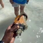 3 Hours Guided Great Exuma ATV Tour - Final Thoughts