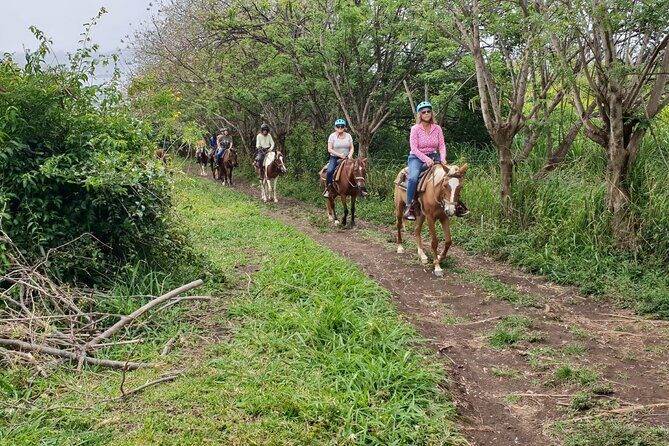 3 Hours Horseback Riding from Nature Trails to Sofa Stone - Authentic Perspectives from Riders