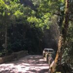 3 Hours Private Royal Highlight Tour in St. Kitts - The Experience in Context