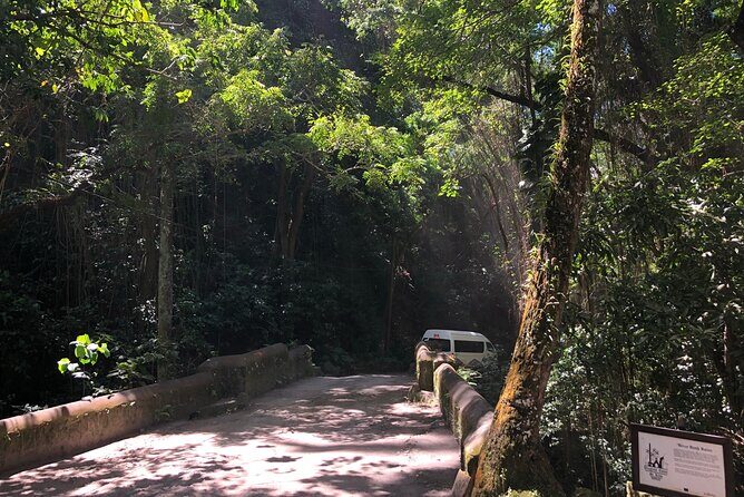 3 Hours Private Royal Highlight Tour in St. Kitts - The Experience in Context