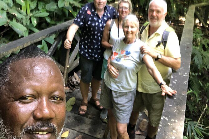 3 Hours Rainforest Group Walk with Lunch - Who Will Love This Tour?
