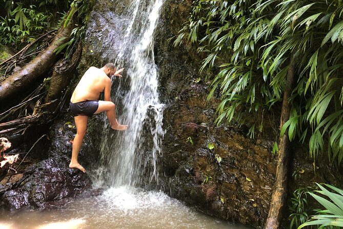 3 Hours Rainforest Walk in Tobago (Private) Lunch + Hummingbirds - Authentic Feedback & What Makes This Tour Stand Out