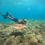 3-Island Snorkeling Trip with Sea Turtles & Statues - Practical Details and What to Expect
