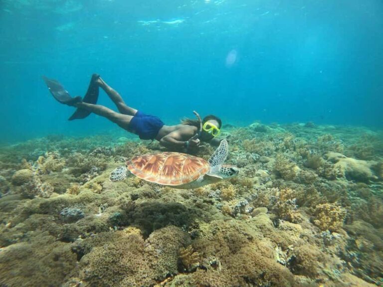 3-Island Snorkeling Trip with Sea Turtles & Statues - Practical Details and What to Expect