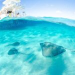 3-stop Adventure: Stingray City and snorkeling at Cayman Reefs - Who Will Love This Tour?
