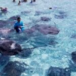 3 Stop Boat Tour Stingray City Coral Gardens and Starfish Point - What to Expect Throughout the Tour