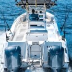 30 ft cat AM Lux Inshore Fishing La Cruz & Punta Mita - Analyzing the Cost and Value