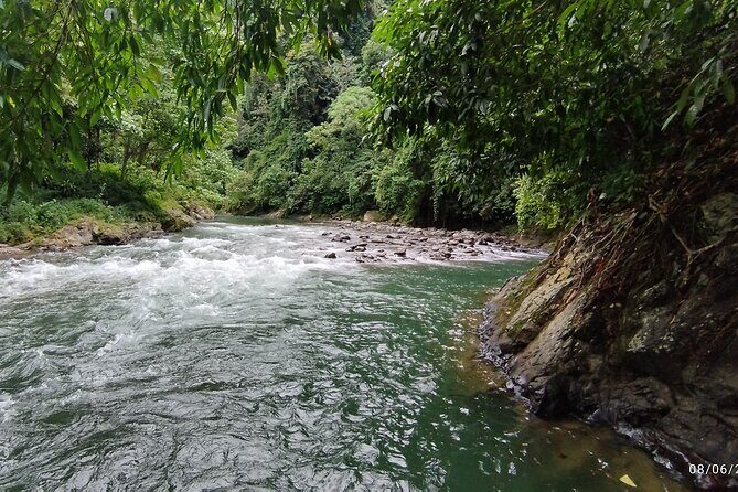 3D2N Jungle Trek | 2 Night accommodation | Pick up and drop off - What Makes This Tour Stand Out?