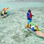 3HR Clear Kayak Mangrove and iguana island Tour in Leeward - Authentic Encounters and Wildlife Viewing