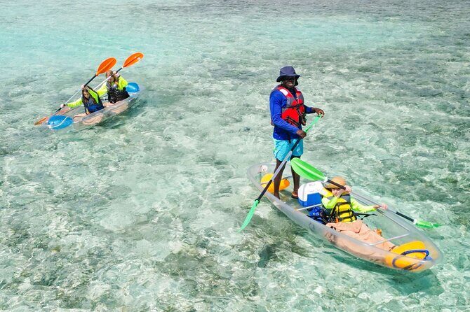 3HR Clear Kayak Mangrove and iguana island Tour in Leeward - Authentic Encounters and Wildlife Viewing