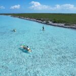 3hr Clear Kayak Tour of Mangroves, Marine Life and Iguanas - What the Reviews Say