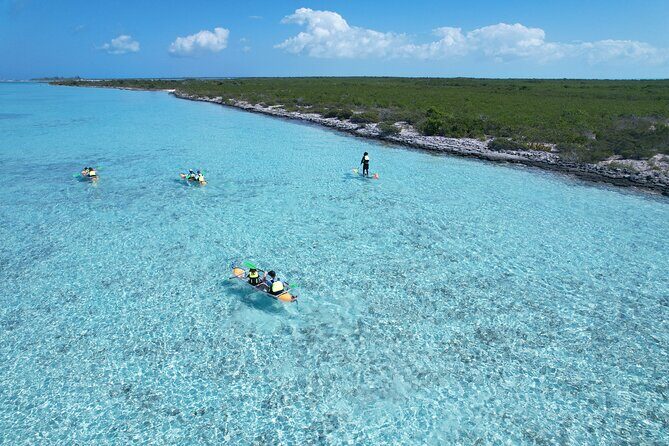 3hr Clear Kayak Tour of Mangroves, Marine Life and Iguanas - What the Reviews Say