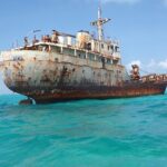3HR Emerald reef snorkeling, iguana island and shipwreck tour - Who Will Love This Tour?