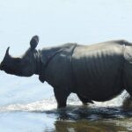 3Nights 4Days Bardiya Tiger Tracking Tour on Foot - All Inclusive - Practical Details and Tips