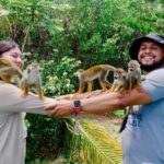 3x1: Monkeyland Waterfalls and Buggy Tour Puerto Plata - Who Will Love This Tour?