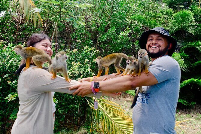 3x1: Monkeyland Waterfalls and Buggy Tour Puerto Plata - Who Will Love This Tour?