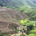 4-Day Cameron Highland and Penang Tour from Kuala Lumpur - Transitioning to Penang