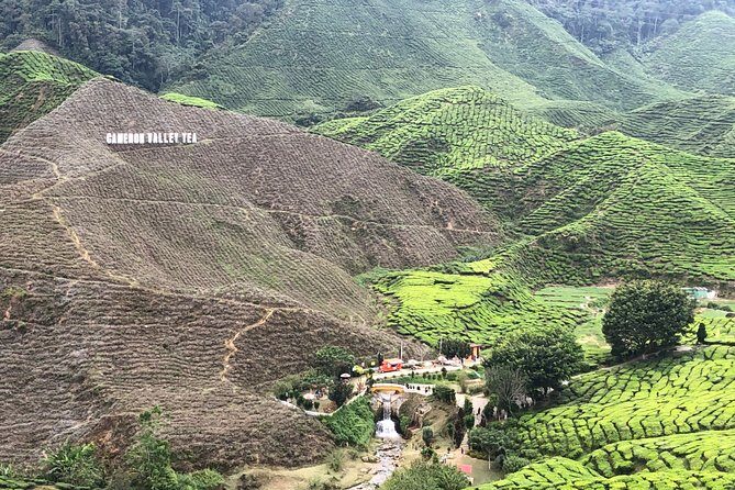 4-Day Cameron Highland and Penang Tour from Kuala Lumpur - Transitioning to Penang