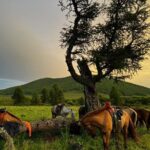 4-Day Horseback Adventure to Khagiin Khar Lake - What Makes This Tour a Solid Choice?