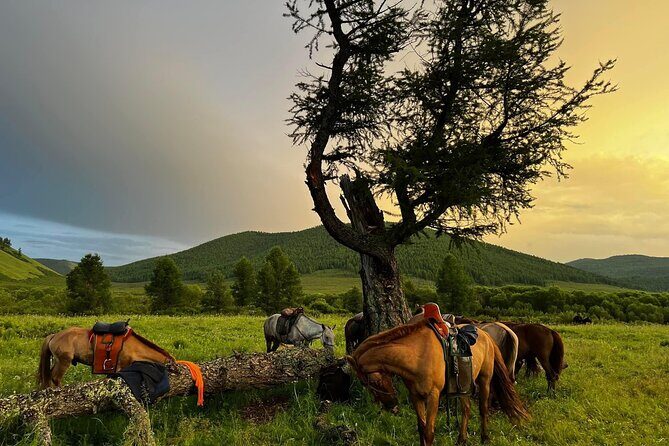 4-Day Horseback Adventure to Khagiin Khar Lake - What Makes This Tour a Solid Choice?
