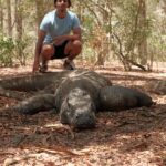 4-Day Komodo Island Adventure: Dragons, Snorkeling & Hiking - Day Two: The Iconic Hike and Pink Beach