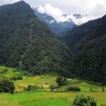 4-Day NabjiKorphu Wildlife Forest Eco Tour - What Makes This Tour Stand Out?