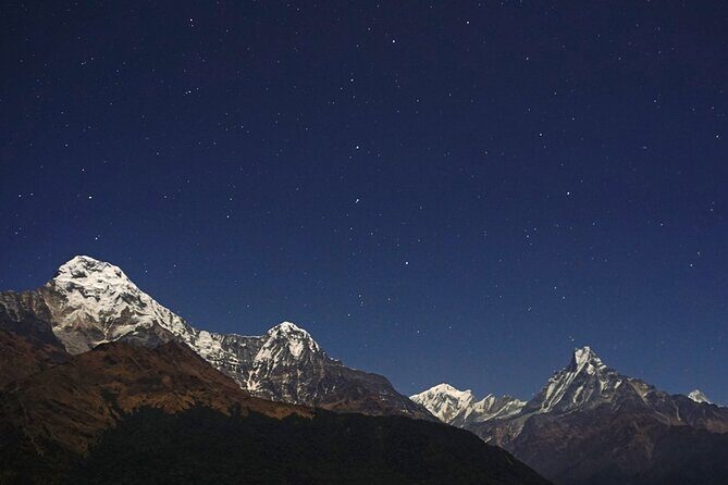 4 Day Poon Hill Trek and Pokhara Private Tour - Reinforcing What Travelers Say