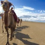 4-Day Private Tour of Dunhuang with Accommodation - What Makes This Tour Special