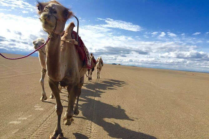 4-Day Private Tour of Dunhuang with Accommodation - What Makes This Tour Special