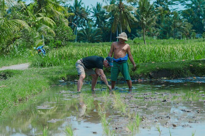 4 Days 3 Nights Explore Bali with Package Tours - Transportation and Comfort