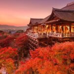 4 Days Private Customizable Tour in Osaka, Nara, Kyoto, Kobe - Why This Tour Offers Good Value