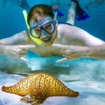 4 Hour Cozumel Reefs Snorkeling - Who Will Love This Tour?