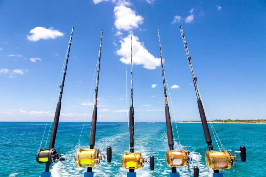 4 hour deep sea fishing experience from punta cana - Who Should Consider This Tour?