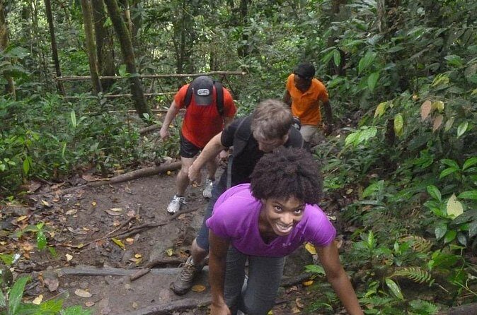4-Hour Hiking to Gros Piton St Lucia with Tour Guide - The Itinerary in Detail