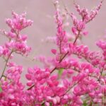 4 hour Individual Island Tour for 1 to 12 persons - FAQs