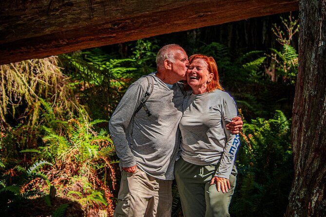 4 Hour Redwood National and State Park E Bike Adventure - Who Should Consider This Tour?