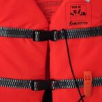 4-hour whale watching in magical Mazatlan - Analyzing the Value: Price and What You Get