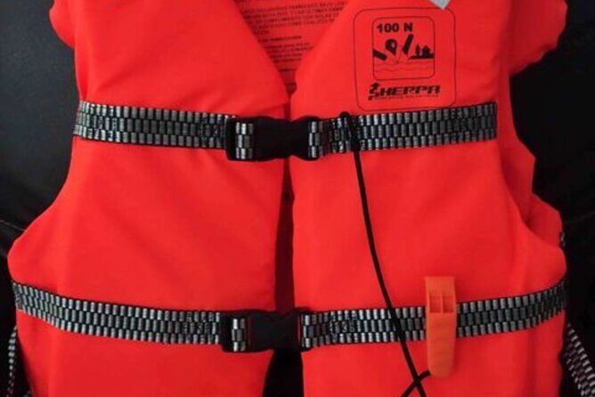 4-hour whale watching in magical Mazatlan - Analyzing the Value: Price and What You Get