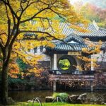 4-Hour Wuxi Private Tour: Huishan Old Town, Jichang Garden and Nanchan Temple - The Guides & Experience Quality