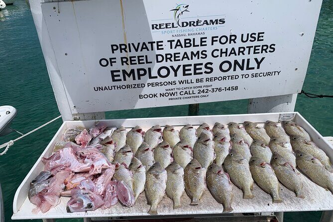 4 hours 34ft Day Dream Private Charter in Nassau - Value and Cost Analysis