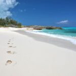 4 hours 38ft Reel Dreams Private Charter in Nassau - What Travelers Say