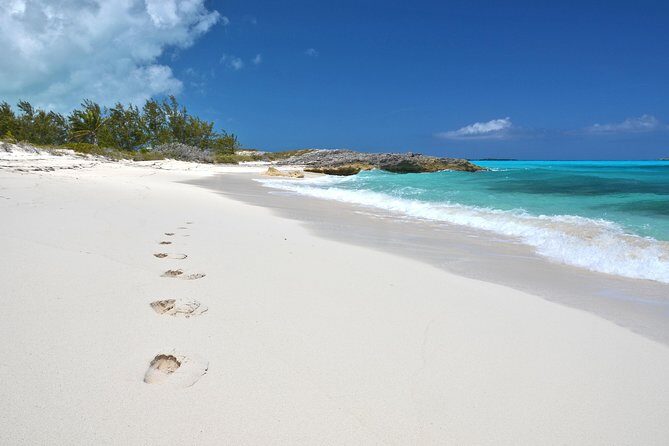 4 hours 38ft Reel Dreams Private Charter in Nassau - What Travelers Say