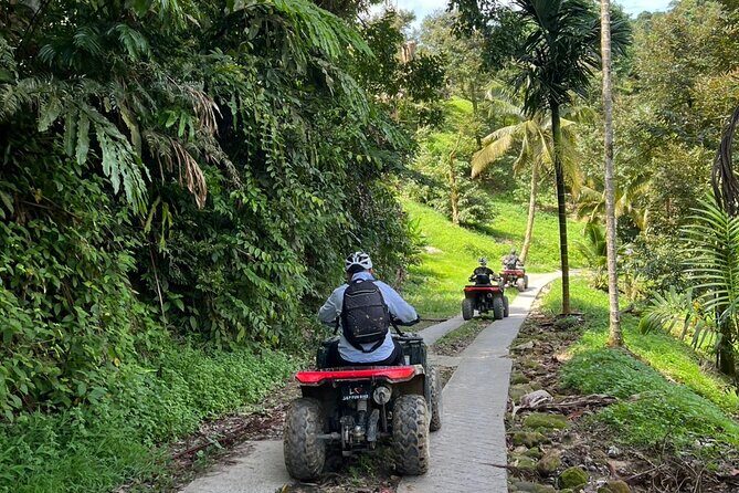4 Hours ATV Jungle Tour Lunch Included - Final Thoughts on the 4-Hour ATV Jungle Tour