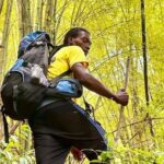 4-Hours Bike, Hike & Waterfall Tour in Blue Mountain with Lunch and Pick Up - The Value of This Tour