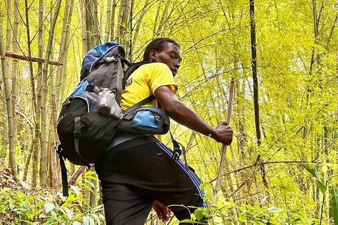 4-Hours Bike, Hike & Waterfall Tour in Blue Mountain with Lunch and Pick Up - The Value of This Tour