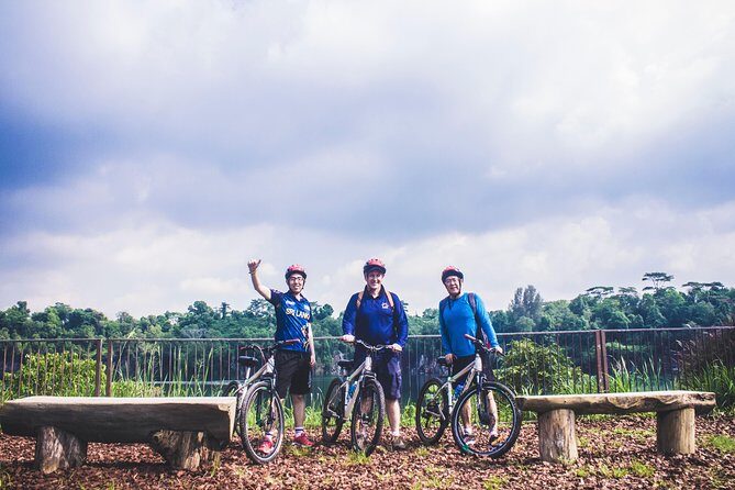 4 Hours Cycling in the Nature at Pulau Ubin Singapore - Insights from Travelers: Real Experiences and Tips