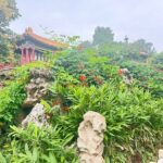 4 Hrs Forbidden City In depth Tour with Hotel pickup - Authentic Experiences and Insights from Travelers