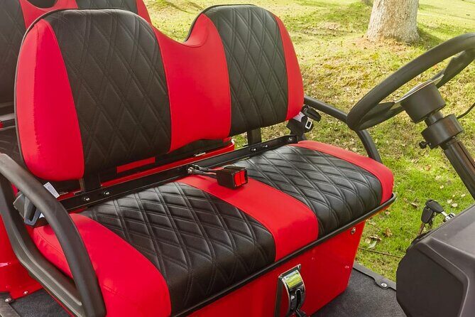 4 Seater Luxury Golf Carts Rental in Grand Turk - The Perfect Fit: Who Should Consider This?