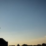 45 Minutes Professional Photographer in PR - Who Will Love This Experience