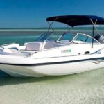 4HR Private bottom Fishing Charter with lunch - Final Thoughts: Is This Tour Worth It?
